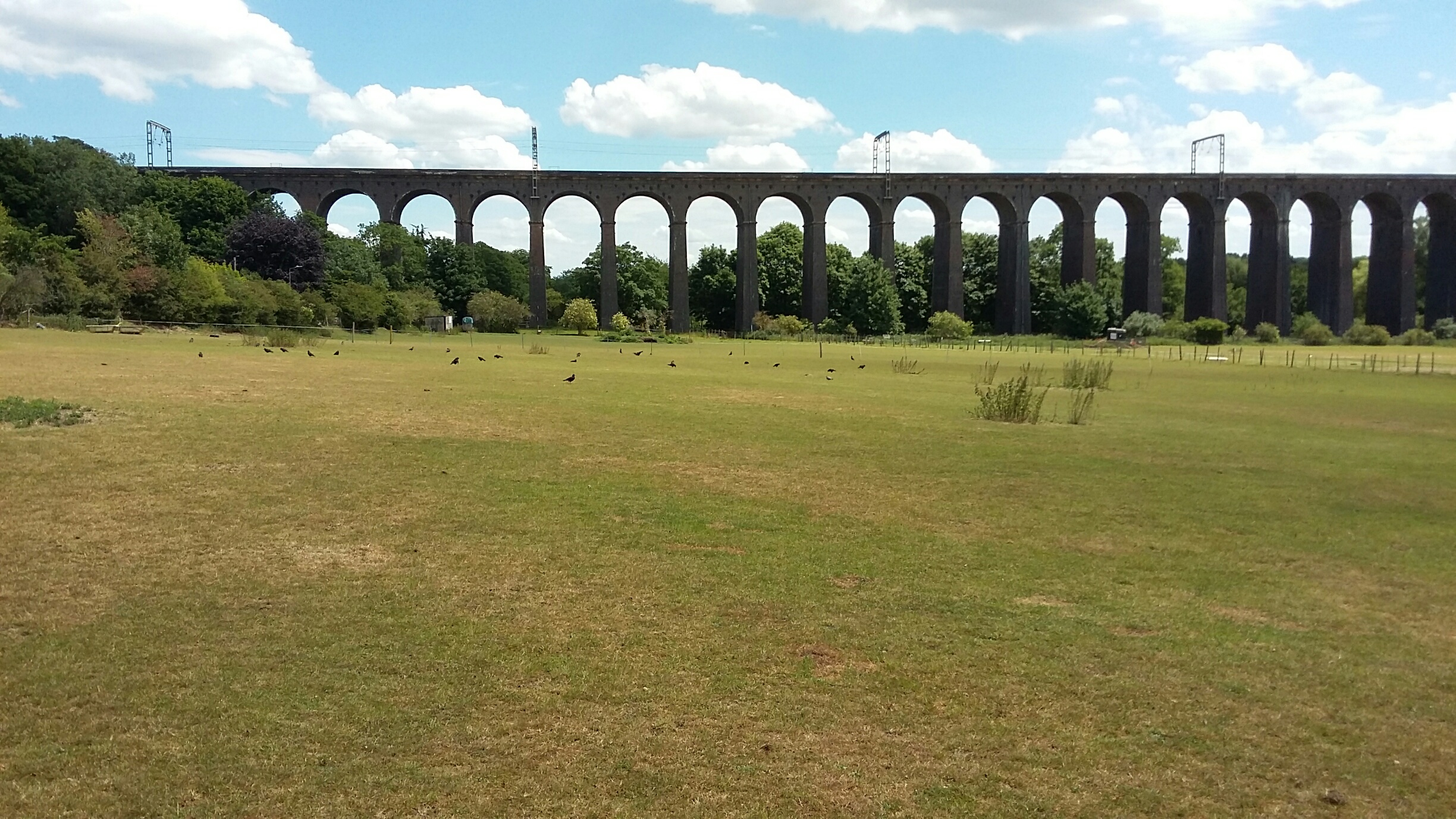 Speculative ‘plotlands’ at Digswell, Box Wood, and Little Gaddesden ...