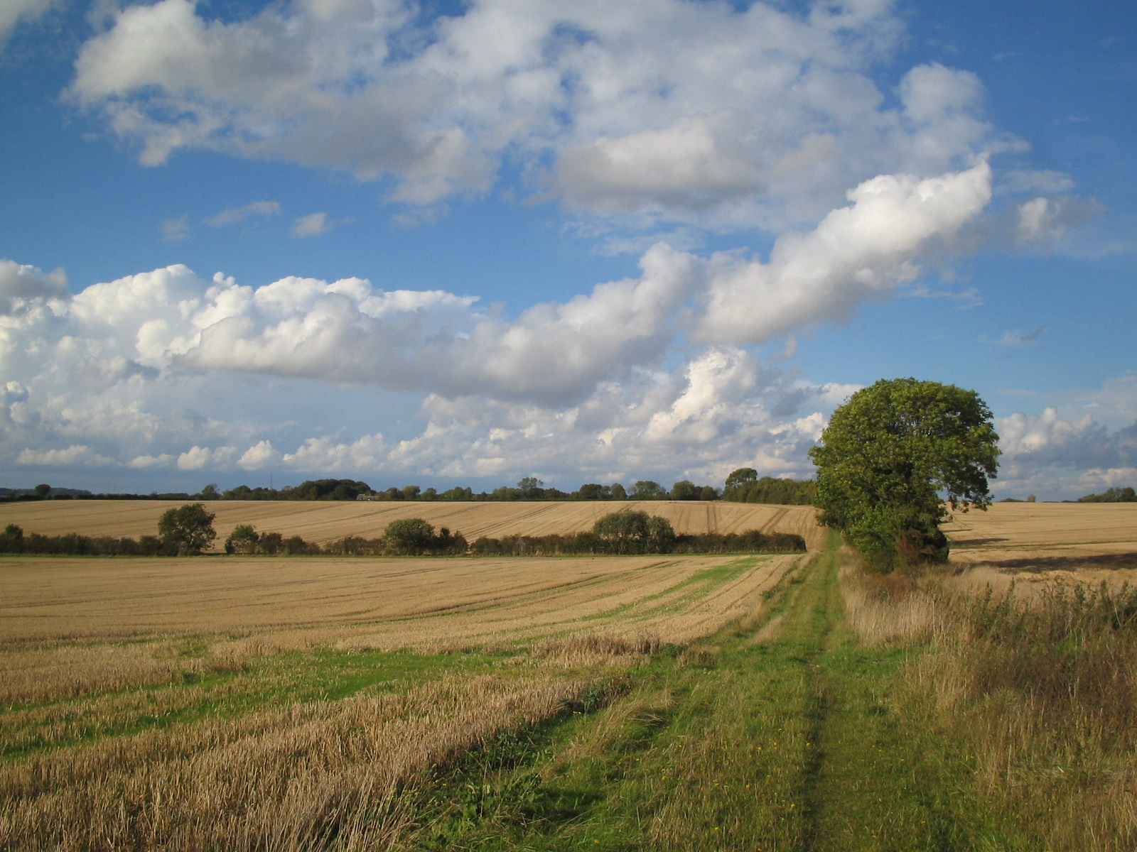 Local places to visit - CPRE Hertfordshire