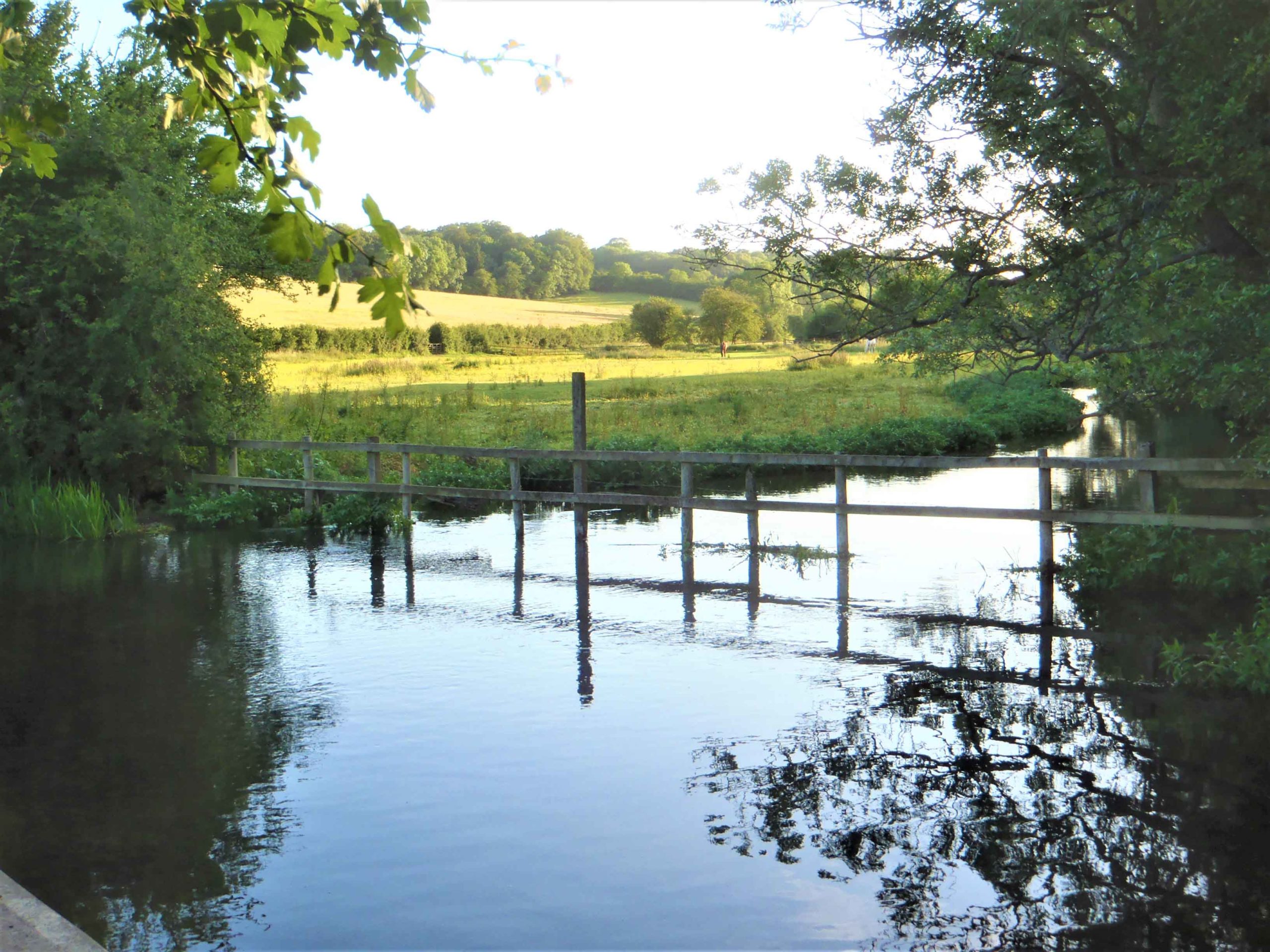 A new future for the Chilterns Area of Outstanding Natural Beauty ...