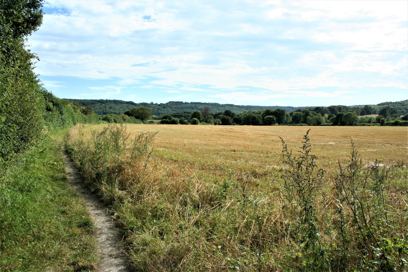 They paved paradise – precious countryside lost to development - CPRE ...