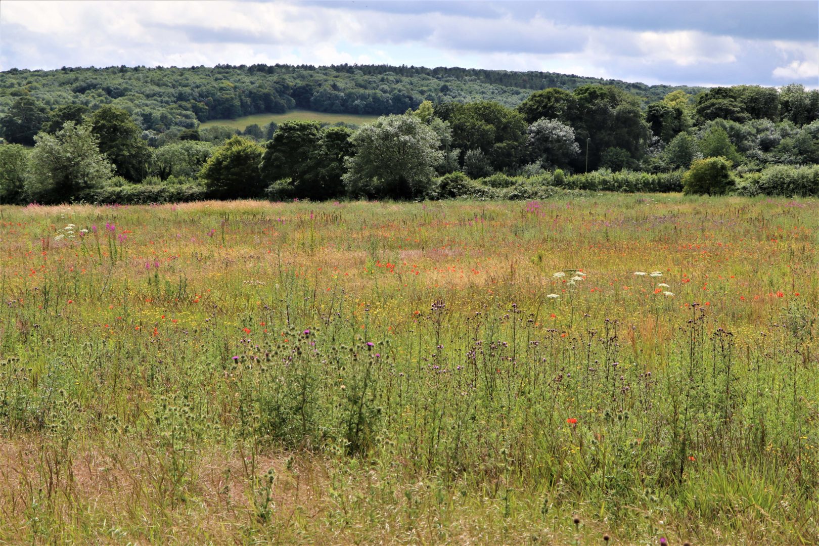 They paved paradise – precious countryside lost to development - CPRE ...