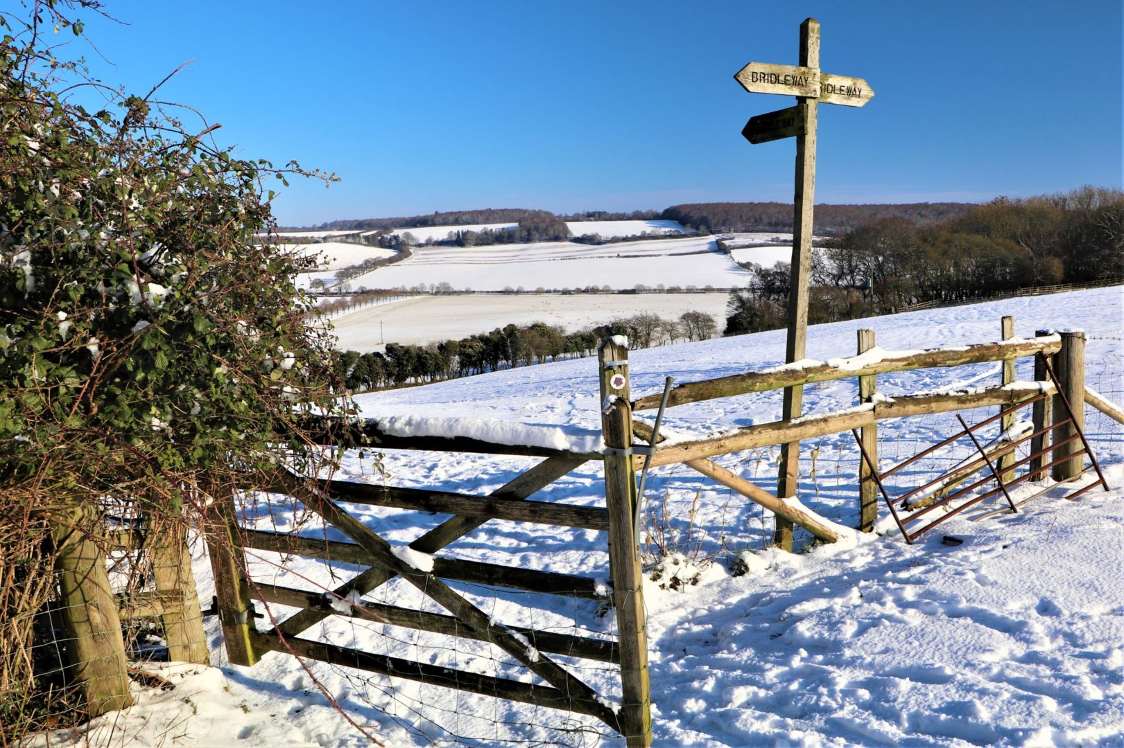Christmas cards - CPRE Hertfordshire