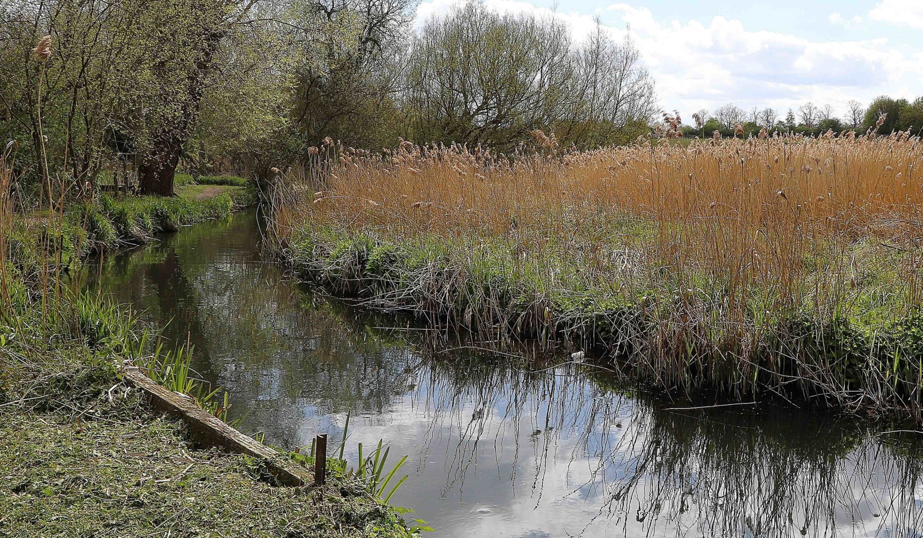 Following the swan – a walk down the Lea Valley - part 2 - CPRE ...
