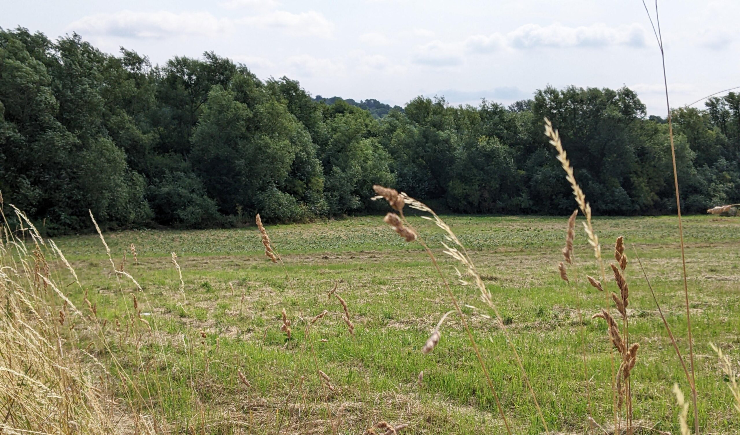 Planning Appeal Inquiry Rectory Farm Kings Langley Cpre Hertfordshire