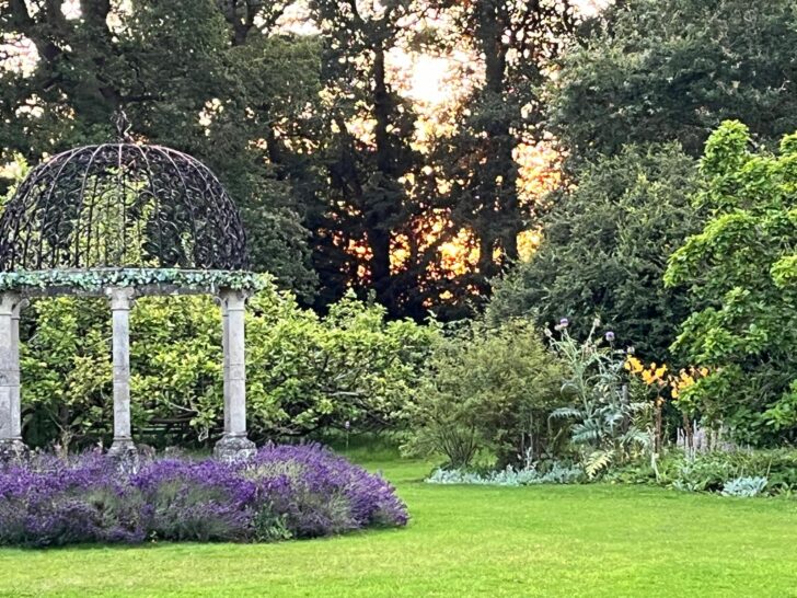 St Paul’s Walden Bury Open Garden and Music Event, 5 July 2026 - CPRE ...